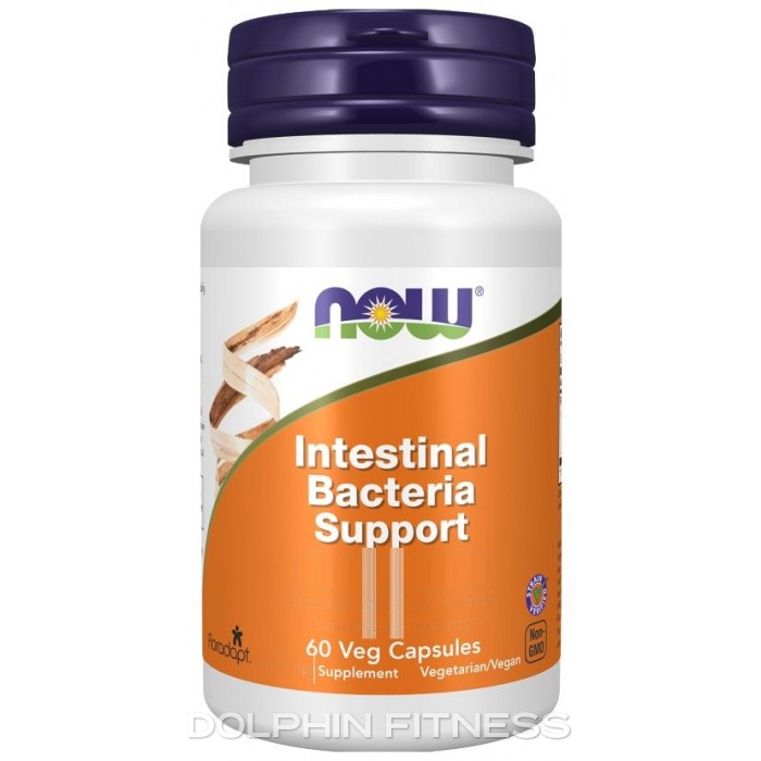 NOW Intestinal Bacteria Support 60 Veg Capsules
