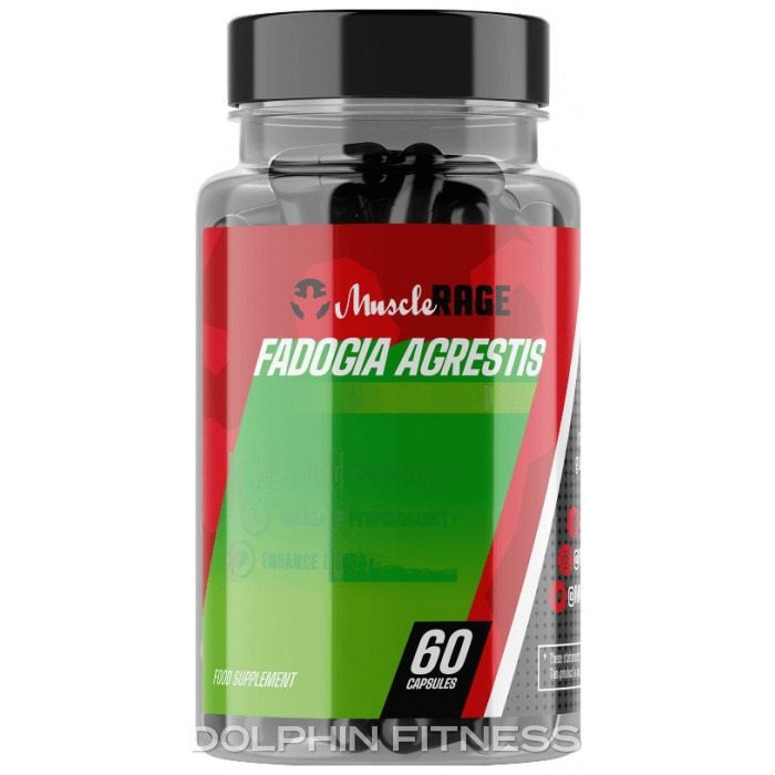Muscle Rage Fadogia Agrestis 60 Capsules