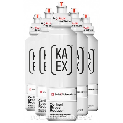 KA-EX GO 12 x 460 ml