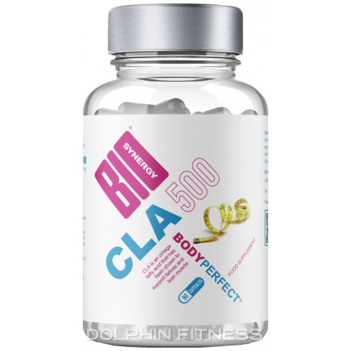 Bio-Synergy CLA 500 90 Capsules