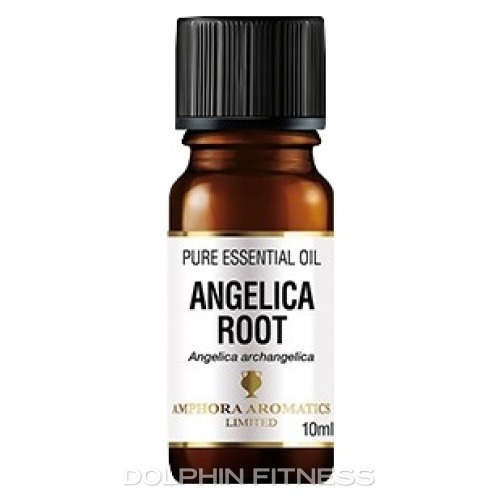 Amphora Aromatics Angelica Root Essential Oil 10 ml