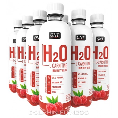 QNT H20 L-Carnitine Immunity Water 12 x 500 ml