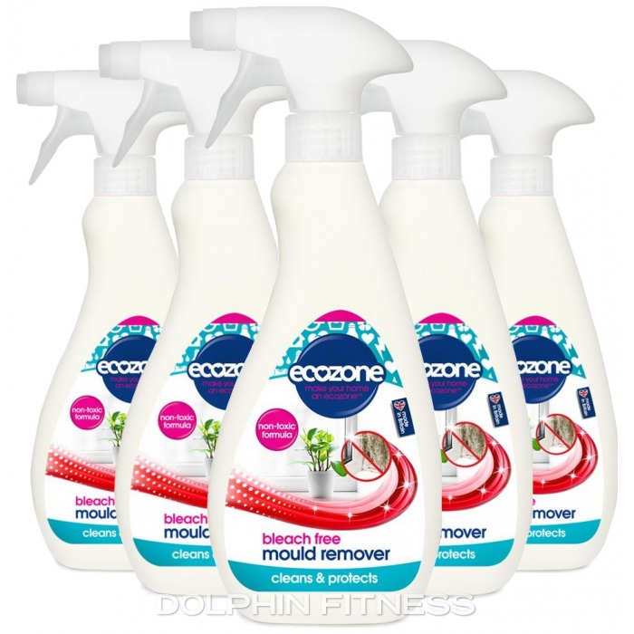 Ecozone Mould Remover Spray 6 x 500 ml