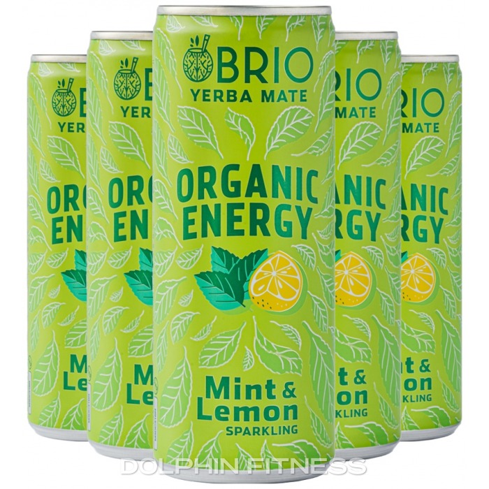 Brio Mate Organic Energy Tea 12 Cans