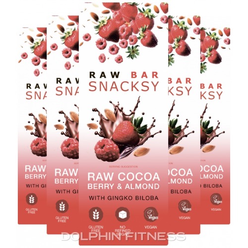 Snacksy Raw Cocoa Bar (12 x 40g) Berry & Almond with Ginkgo Biloba