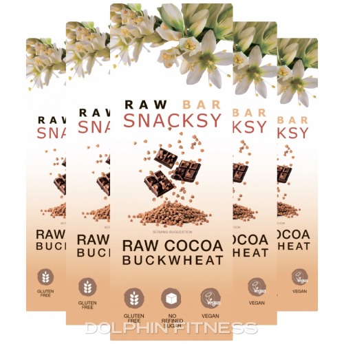 Snacksy Raw Cocoa Bar (12 x 40g) Buckwheat