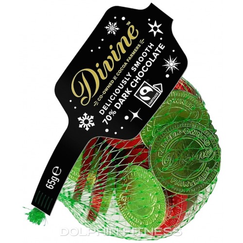 Divine Deliciously Smooth 70% Dark Chocolate Coins 1 x 65g