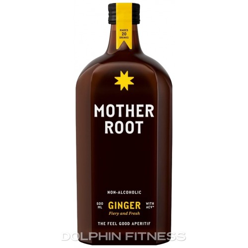Mother Root Ginger Switchel Non-Alcoholic Aperitif 500 ml