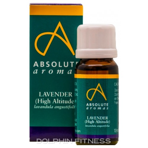 Absolute Aromas Lavender High Altitude 10 ml