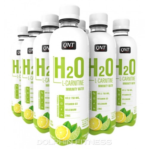 QNT H20 L-Carnitine Immunity Water 12 x 500 ml