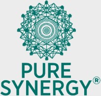 Pure Synergy